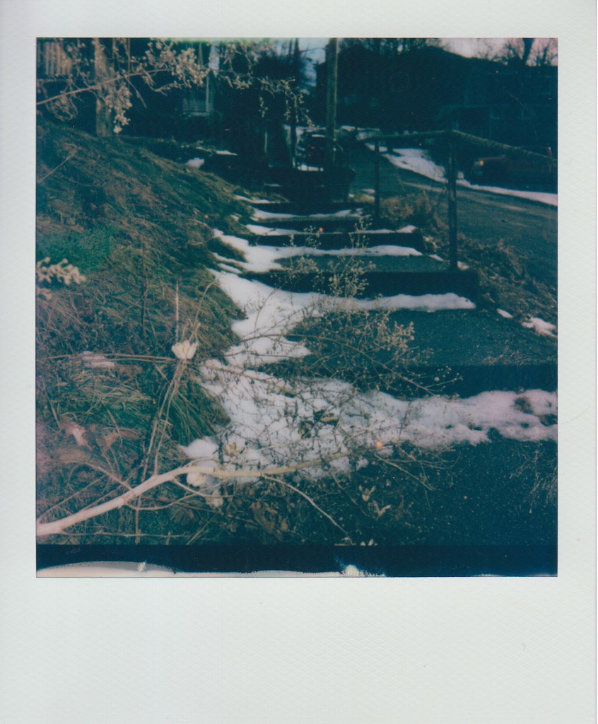 Trip #696 Rutherford Avenue, Beechview - Mis.Steps
