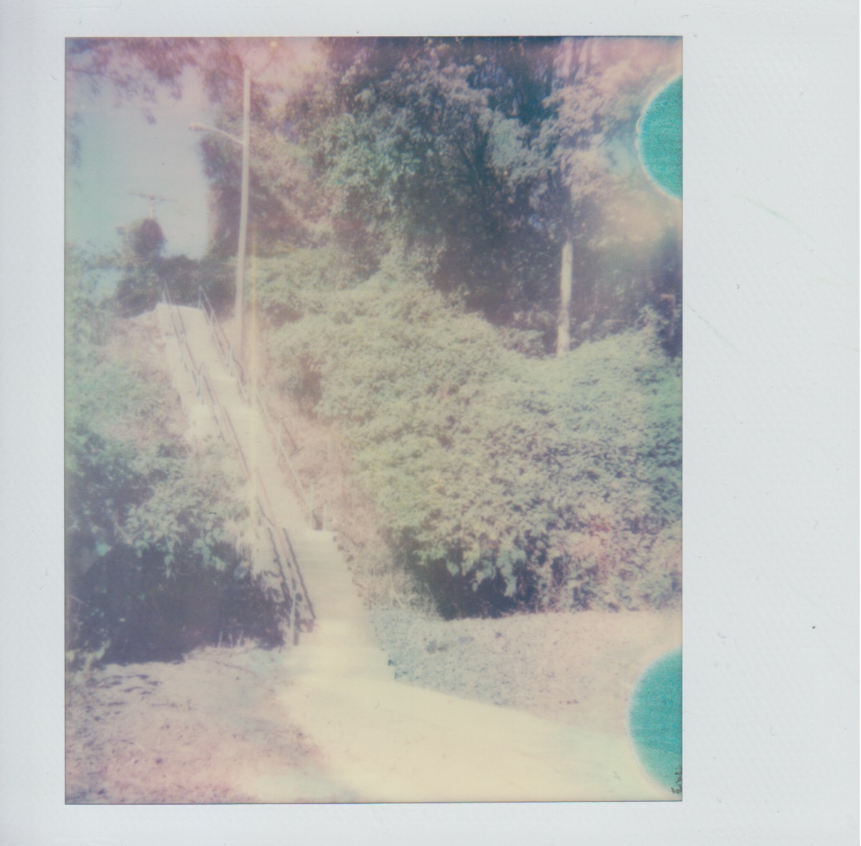 Revisiting Chauncey Street, Middle Hill - Mis.Steps