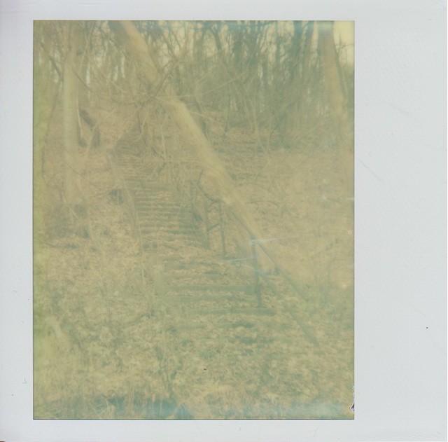 Marigold Lane, Glen Hazel - Mis.Steps