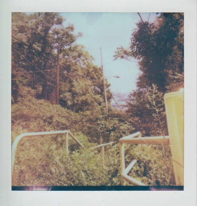 Knoxville Incline Greenway, South Side Slopes - Mis.Steps