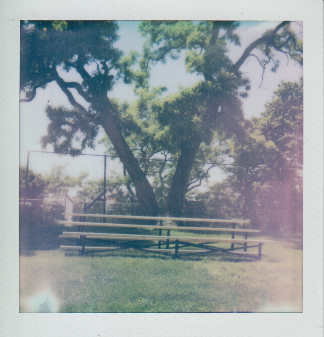 Alton Playground, Beechview - Mis.Steps