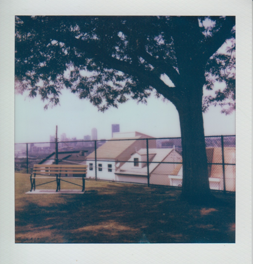 Eleanor Street Park, South Side Slopes - Mis.Steps