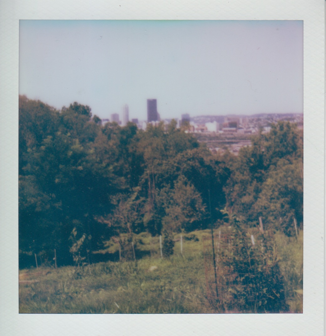 South Side Park, South Side Slopes - Mis.Steps